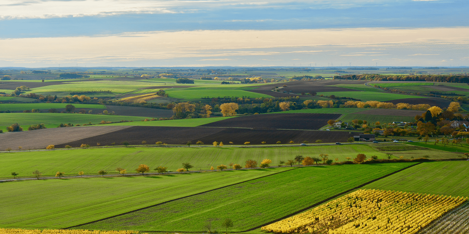 Inputlist FiBL Germany - Ad Terram