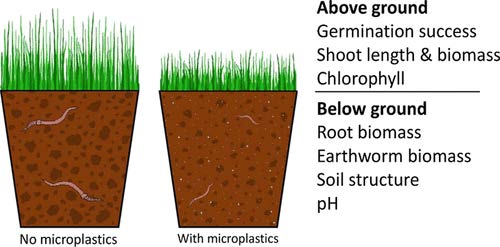Microplastic Free Seed Treatments and Biostimulants