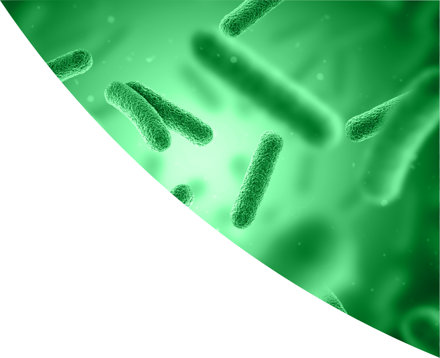 Microbes | Rhizobium | Mycorrhiza | Microplastic free